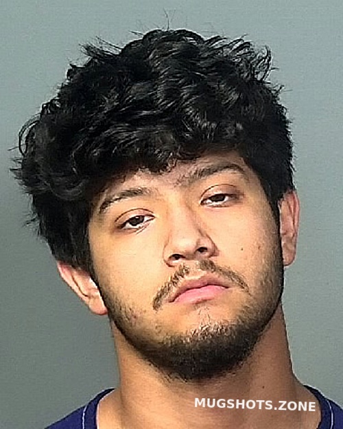 PEREZ JULIO 02 02 2023 Manatee County Mugshots Zone