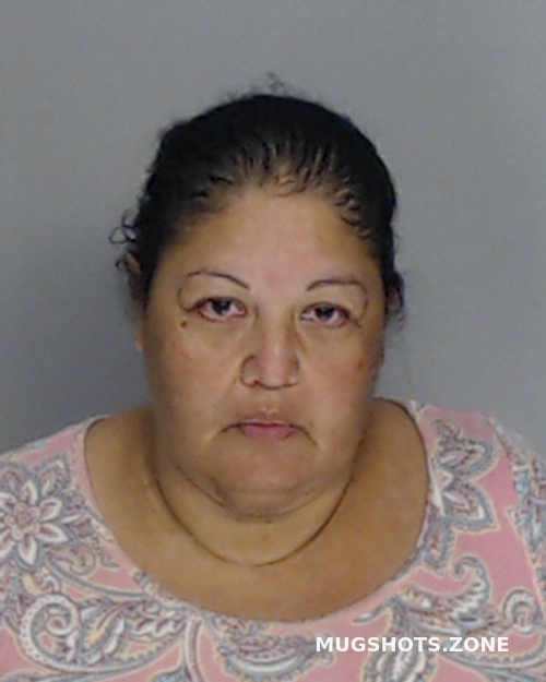 Puente Diana Nueces County Mugshots Zone