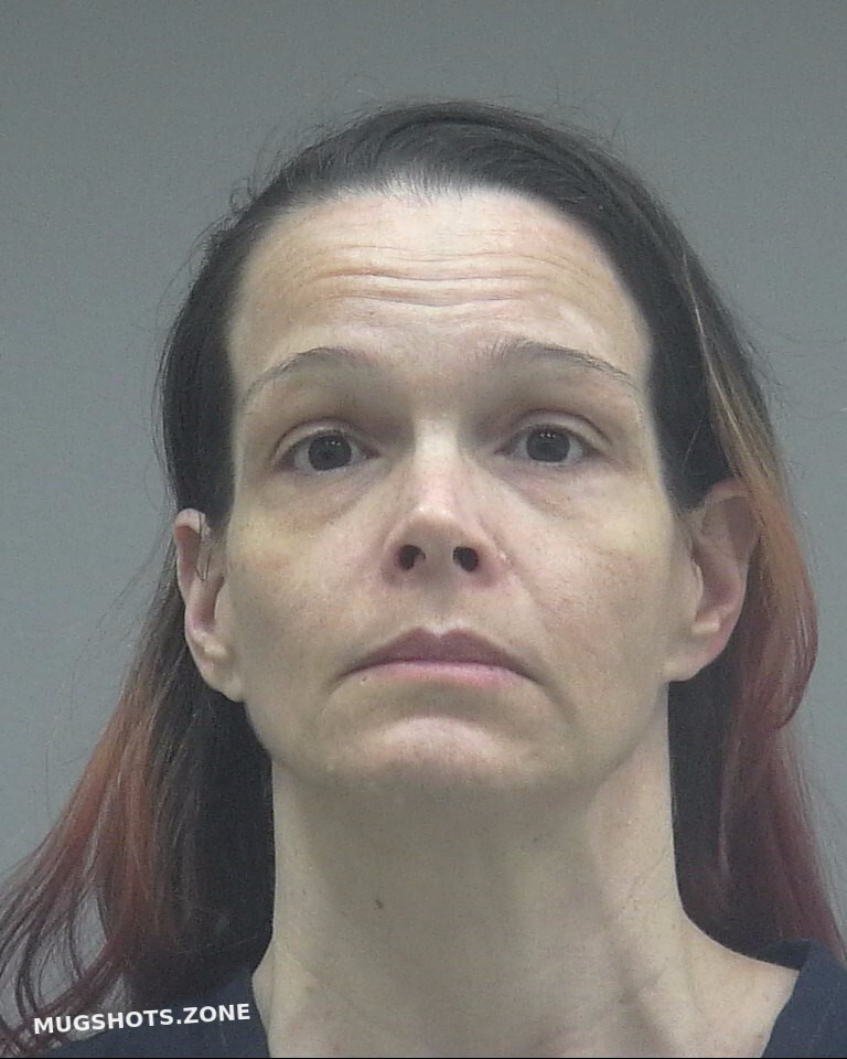 DAVIS AMANDA KAY 12/02/2021 - Alachua County Mugshots Zone