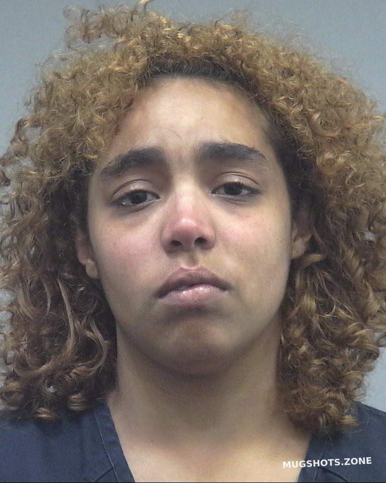HAMPTON SHAUNA RENEE 10/17/2022 - Alachua County Mugshots Zone