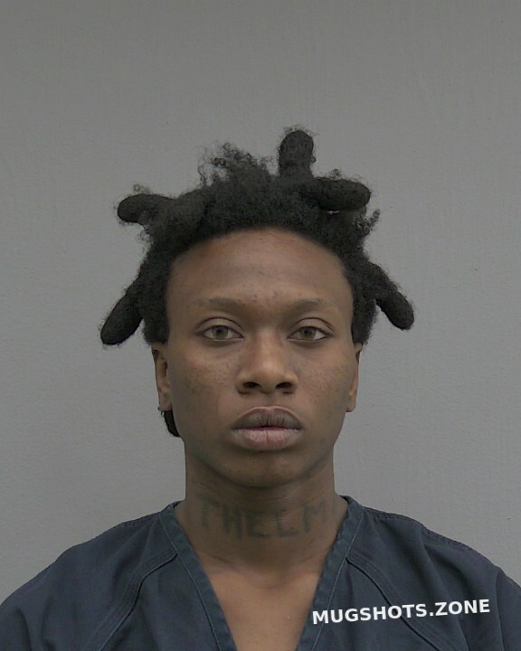 BING DARRIELL VERONIQUE 10/18/2022 - Alachua County Mugshots Zone