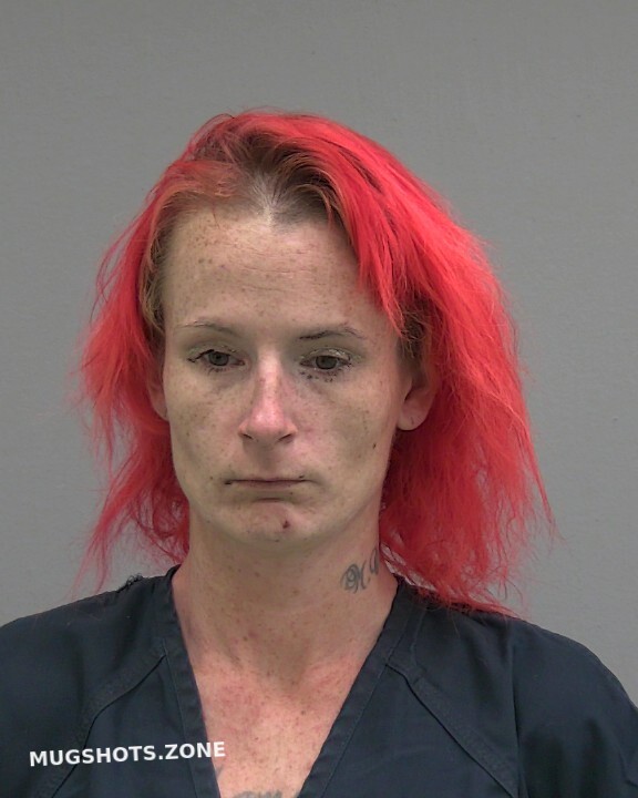 JACOBS SARAH ELIZABETH 10/31/2022 - Alachua County Mugshots Zone