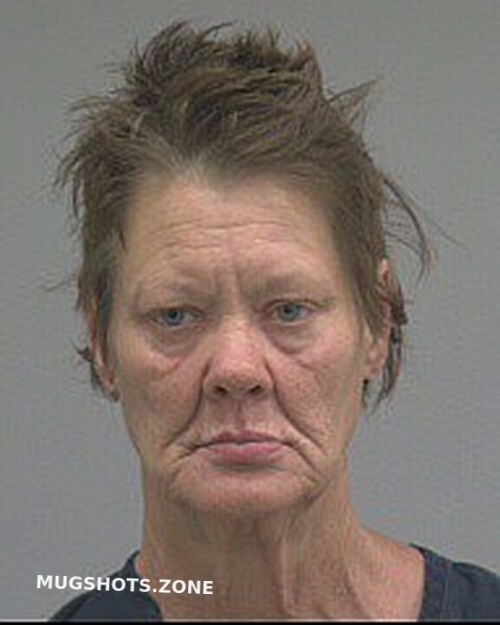 SLAUGHTER CYNTHIA GAIL 01/16/2023 - Alachua County Mugshots Zone