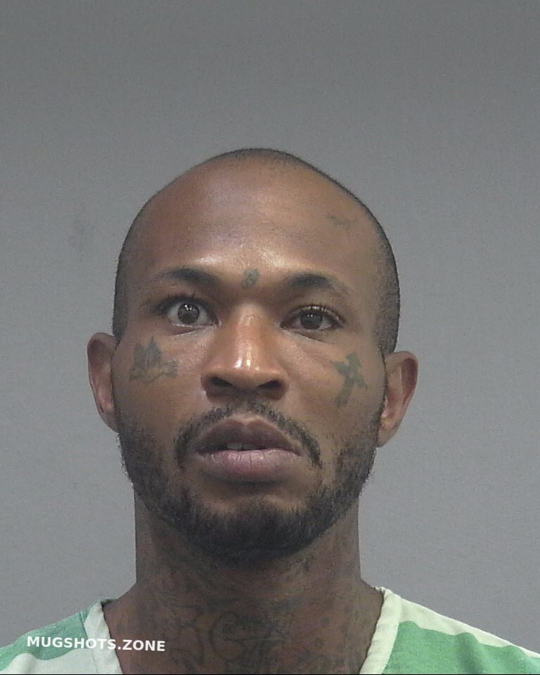 HARRISON MITCHELL 01/23/2023 - Alachua County Mugshots Zone
