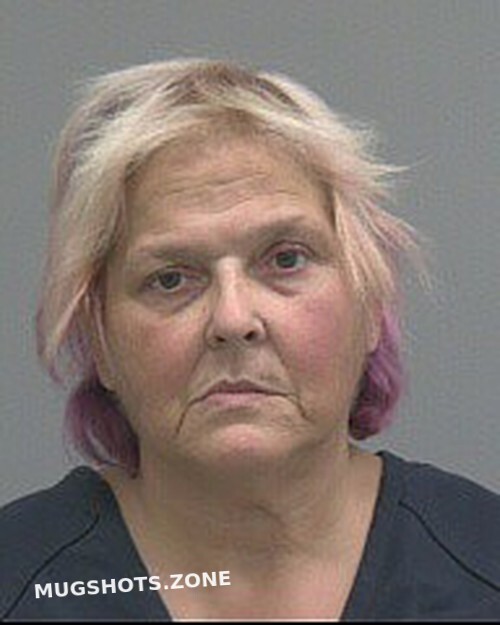 PATTERSON SHARON LYNN 01/24/2023 - Alachua County Mugshots Zone