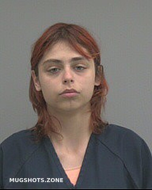 NIKLES ANNA DORTHEA 02/01/2023 - Alachua County Mugshots Zone