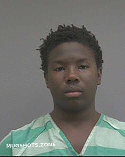 BYARS TYREE WILLIAM 02/03/2023 - Alachua County Mugshots Zone