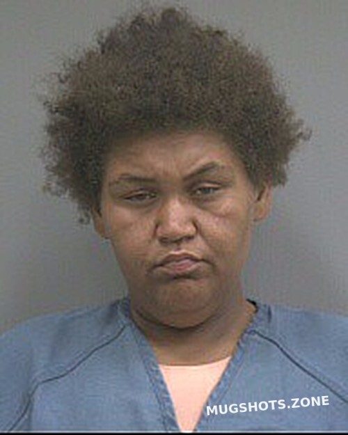 BEAM CHEYANNE NATASSIA 03/03/2023 - Alachua County Mugshots Zone