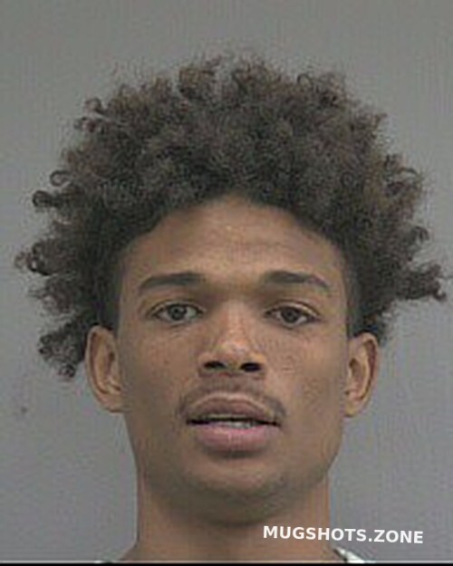 HARRISON MICHAEL LORINA 03/15/2023 - Alachua County Mugshots Zone