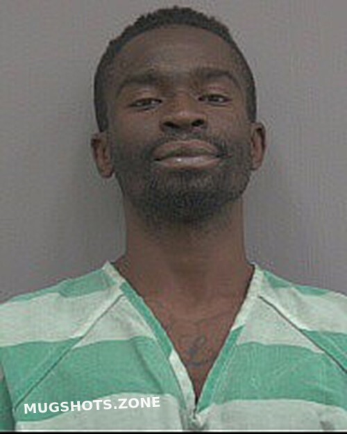 TURNER REGINALD ALLEN 03/19/2023 - Alachua County Mugshots Zone