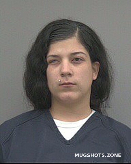 DIAZ ASHLEY MARIE 03/21/2023 - Alachua County Mugshots Zone