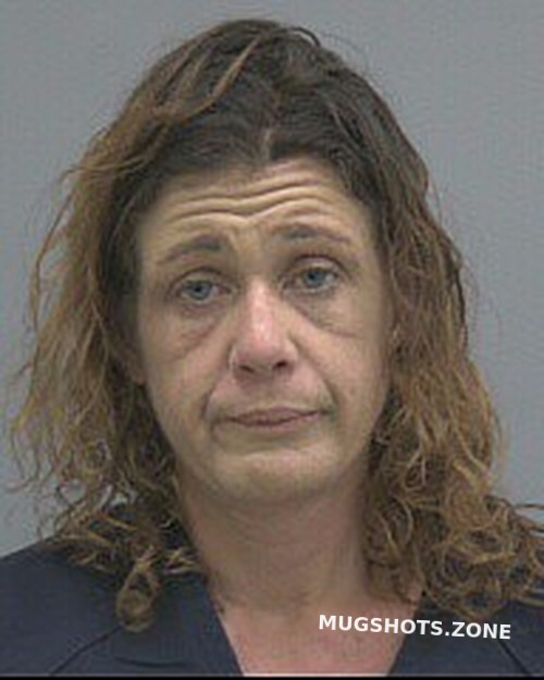 GREINER AMY CONSTANCE 03/23/2023 - Alachua County Mugshots Zone