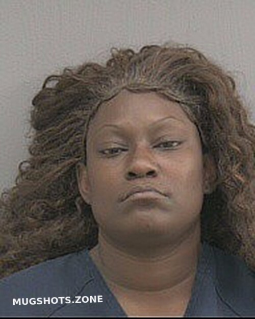 LEWIS TIERRA LASHAY-DENICE 03/23/2023 - Alachua County Mugshots Zone