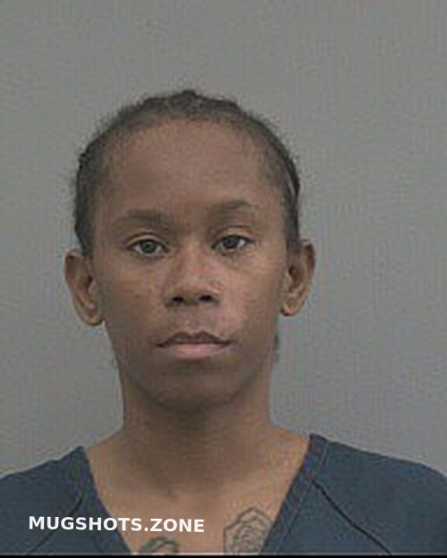 GAINES CRYSTAL MICHELLE 06/18/2023 - Alachua County Mugshots Zone