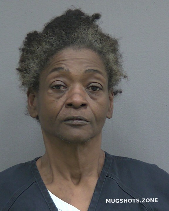 JAMES WANDA 12/13/2023 - Alachua County Mugshots Zone