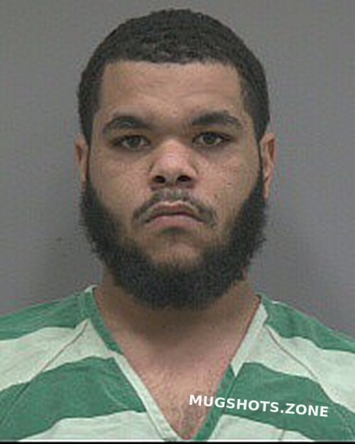 ARCHER REECE ALEXANDER 01/10/2024 - Alachua County Mugshots Zone
