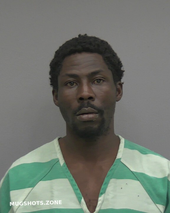 THOMPSON PETER ASHLEY 02/04/2024 - Alachua County Mugshots Zone