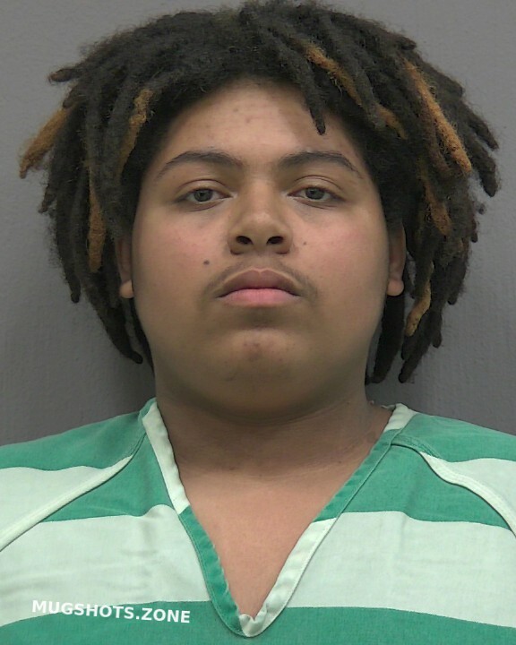 ALVIRA XIONY ELLIONET-LEBRON 02/09/2024 - Alachua County Mugshots Zone