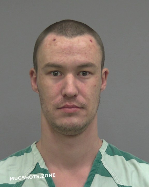 NICK ADAM MICHAEL 02/11/2024 - Alachua County Mugshots Zone