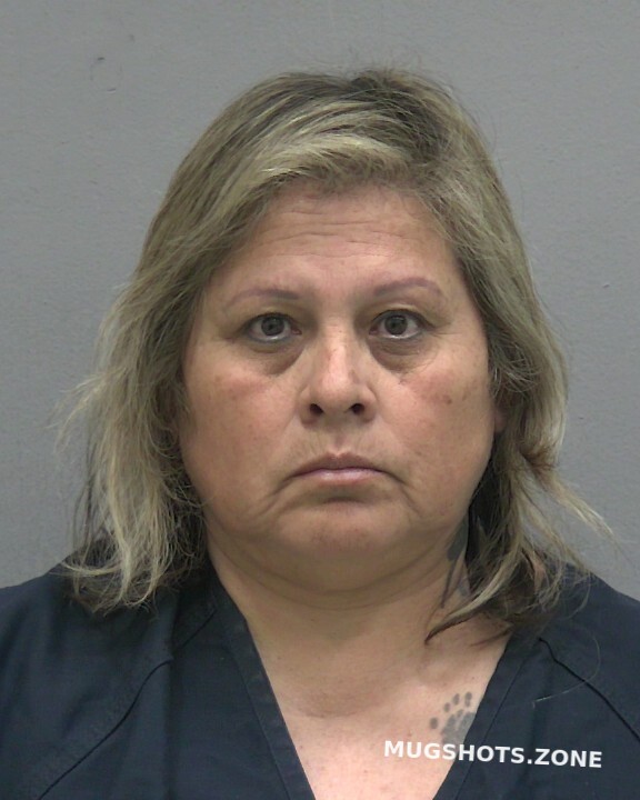 GARCIA OLGA AGUNA 02/20/2024 - Alachua County Mugshots Zone