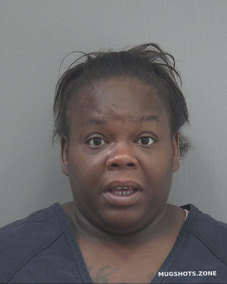 HAMM MONIQUE CHERMELE 02/20/2024 - Alachua County Mugshots Zone