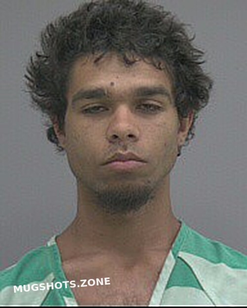 JACKSON DEVON ALEX 03/15/2024 - Alachua County Mugshots Zone