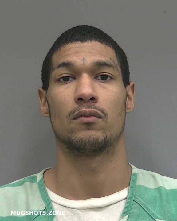 NIXON ZACHARY LEONARD 03/19/2024 - Alachua County Mugshots Zone NIXON ZACHARY LEONARD 03/19/2024 - Alachua County Mugshots Zone