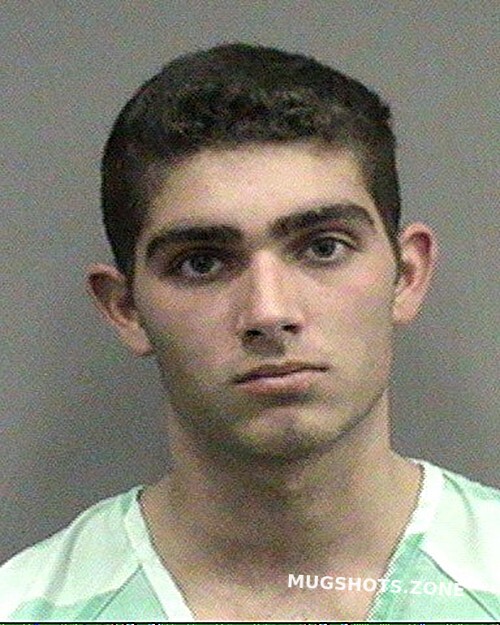 LIUZZO GREGORY RALPH 03/24/2024 - Alachua County Mugshots Zone
