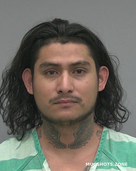 DOMINGO-RIVAS WISVIN EMMANUEL 03/26/2024 - Alachua County Mugshots Zone