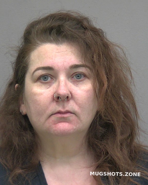 HARRISON SHEILA LYNN 04/15/2024 - Alachua County Mugshots Zone