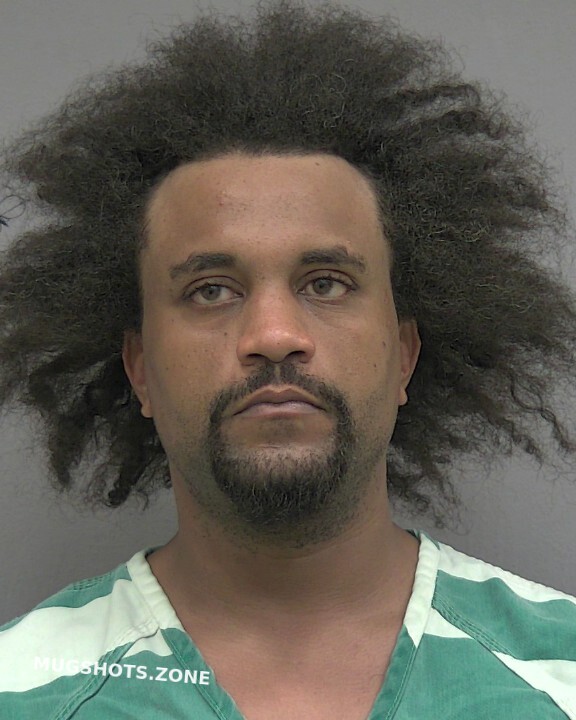 WILLIAMS NATHAN LEE 04/19/2024 - Alachua County Mugshots Zone