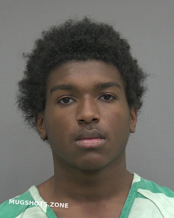 GASKINS ALEXANDER 06/01/2024 - Alachua County Mugshots Zone