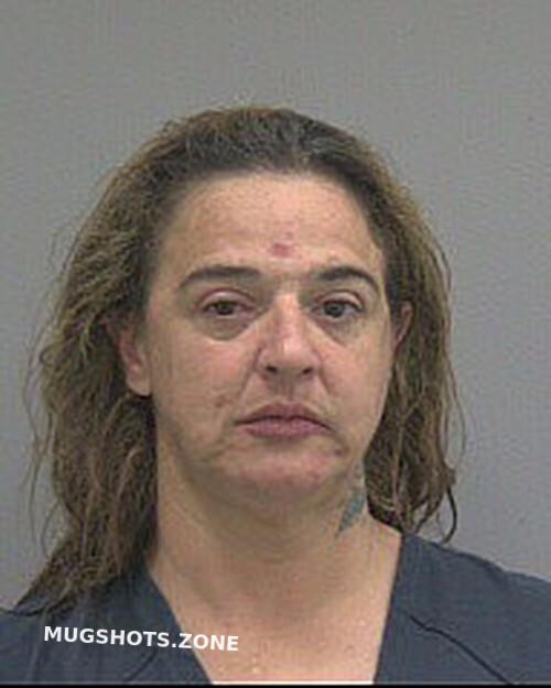 BOHN AMY NICOLE 06/05/2024 - Alachua County Mugshots Zone