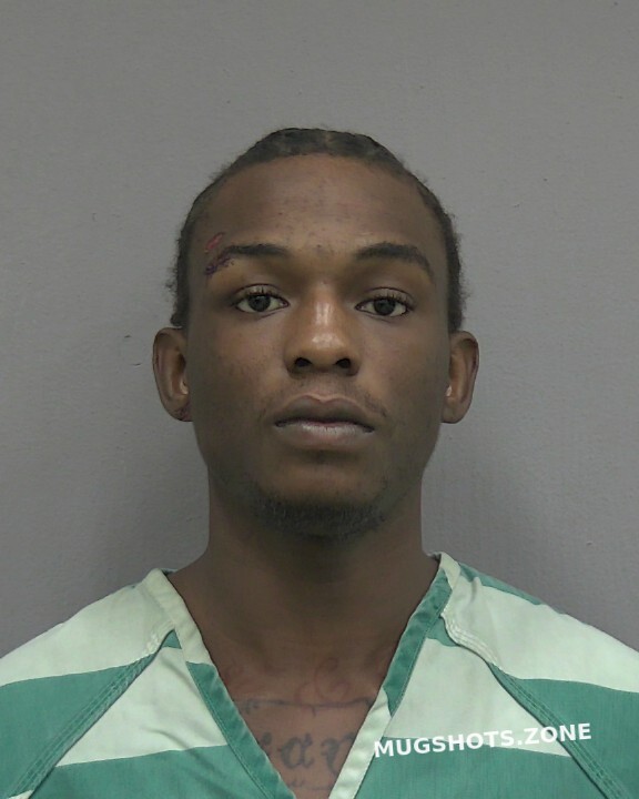SHEFFIELD LIONEL TEDDY 06/17/2024 - Alachua County Mugshots Zone