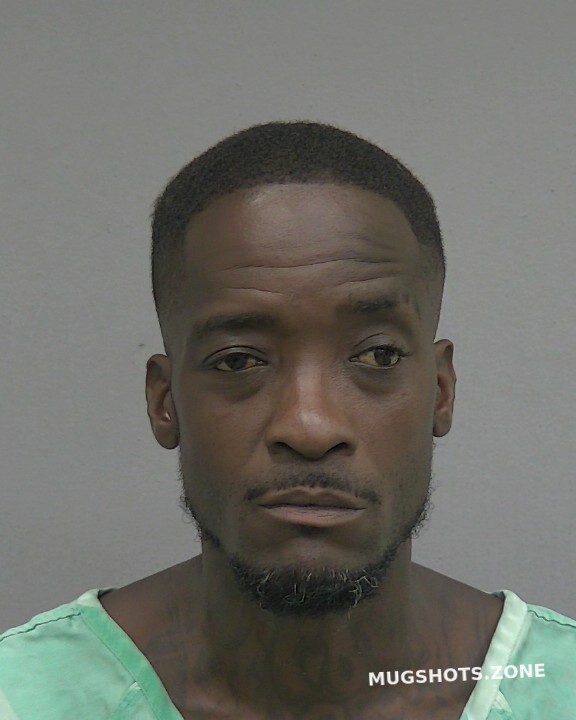 NELSON STEVEN CHRISTOPHER 07/09/2024 - Alachua County Mugshots Zone