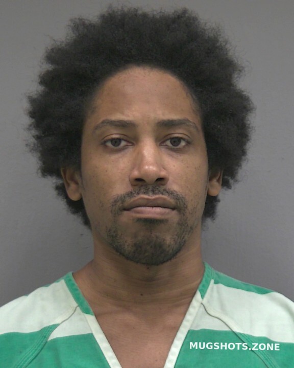 JOHNSON MICHAEL DUANE 09/13/2024 - Alachua County Mugshots Zone