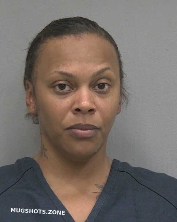 HAYES JOEANNA MARIE 09/27/2024 - Alachua County Mugshots Zone