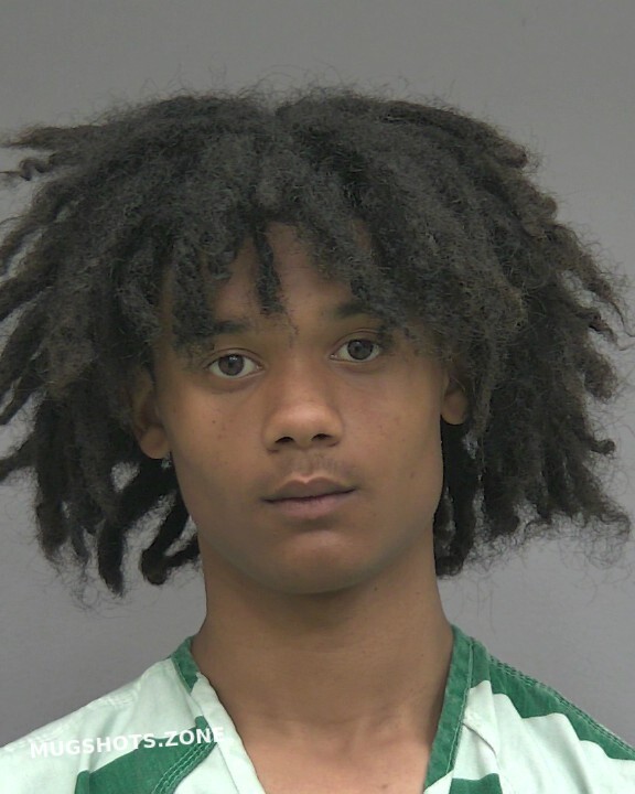 OGLESBEE JEREMIAH PATRICK 10/10/2024 - Alachua County Mugshots Zone