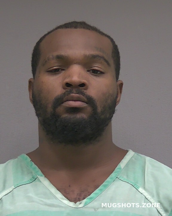 MARSHALL DARNALL BRENNAN LENZIE 10/12/2024 - Alachua County Mugshots Zone