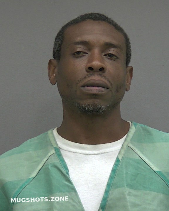 BROWN LEAMON 10/31/2024 - Alachua County Mugshots Zone