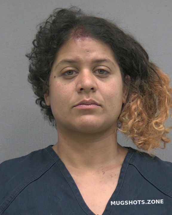 CHAMBERS REBEKAH RUTH 11/10/2024 - Alachua County Mugshots Zone