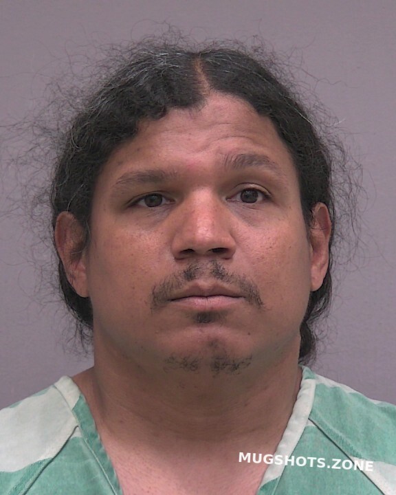 GONZALEZ LUIS 11/16/2024 - Alachua County Mugshots Zone