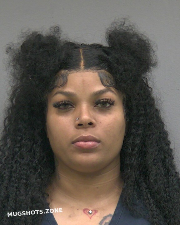 HARRISON KATELYNN MICHELLE 11/18/2024 - Alachua County Mugshots Zone