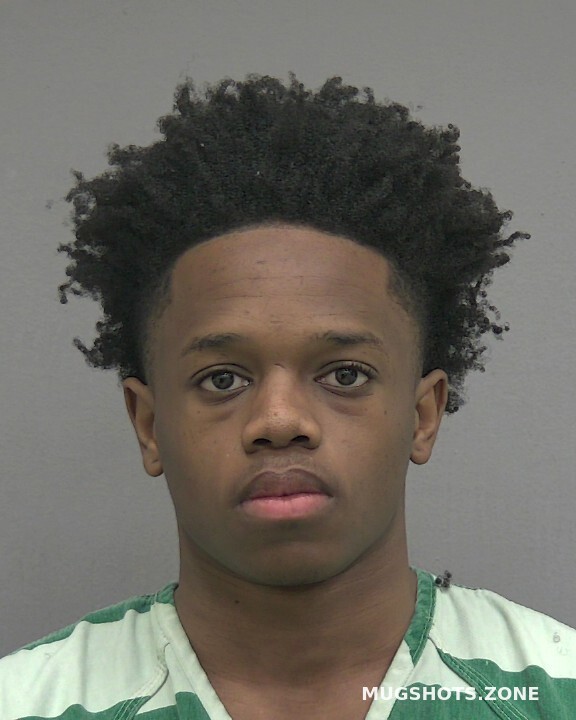 WILLIAMS ELIJAH LEVIN 11/18/2024 - Alachua County Mugshots Zone