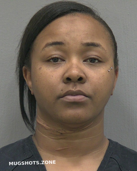 JOHNSON TYEISHA MONIQUE 11/27/2024 - Alachua County Mugshots Zone