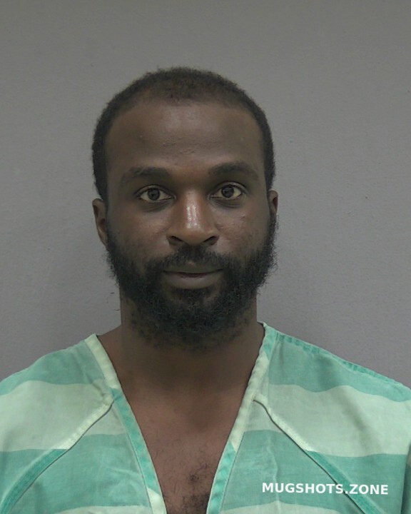 MCCRAY TIMOTHY LEVYNCHE 11/29/2024 - Alachua County Mugshots Zone