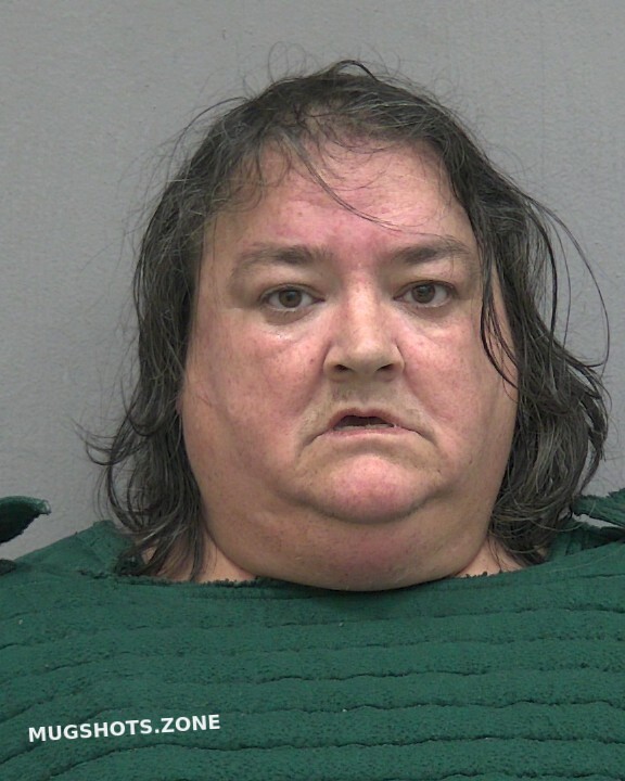 PORTELANCE SUSAN DOROTHY 12/05/2024 - Alachua County Mugshots Zone