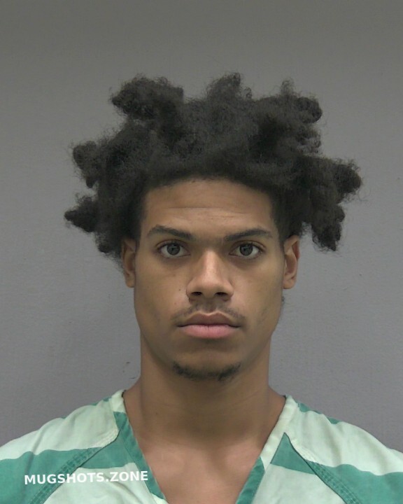 BROWN CHRISTIAN MICHAEL 12/13/2024 - Alachua County Mugshots Zone