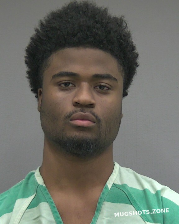 PENNY JERRIAN DAMAR 12/13/2024 - Alachua County Mugshots Zone