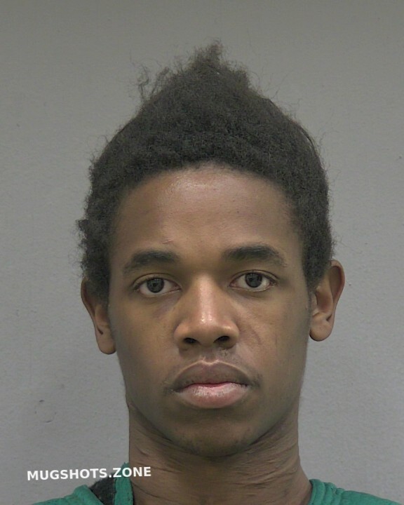 DAVIS KHLOE CATHRYN 12/13/2024 - Alachua County Mugshots Zone